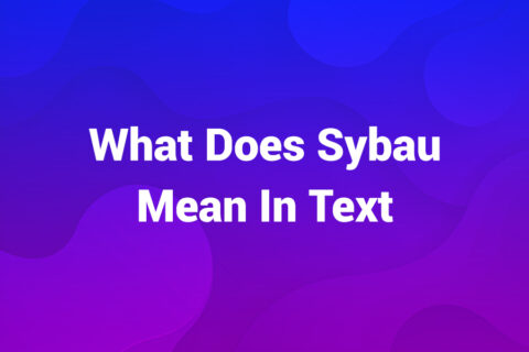 What Does SYBAU Mean in Text – The Truth Revealed